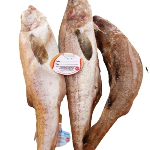 Ocean Fresh Frozen Foods Mart